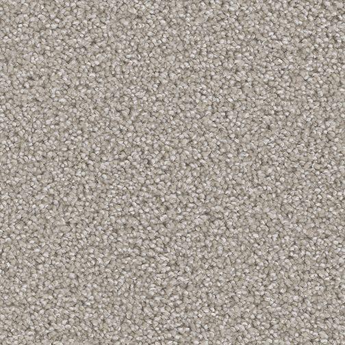 Dream Weaver - Exceptional II - Clam Shell - Michaels Carpet