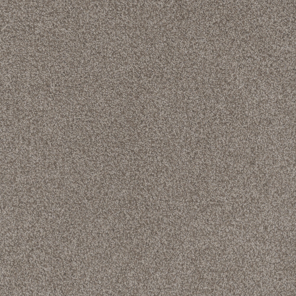 Dreamweaver Carpet Beach Club II Roman Carpet 1430_4345