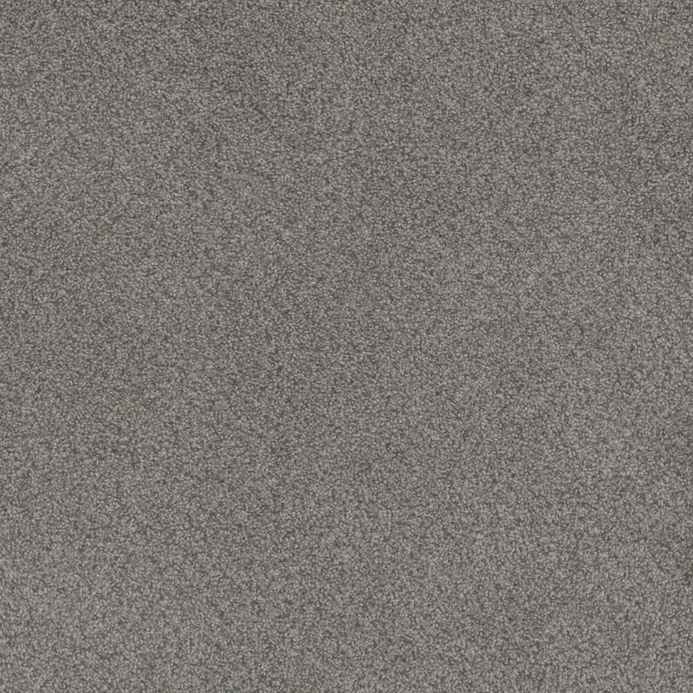 Dreamweaver Carpet Beach Club III Aria Carpet 1540_4433