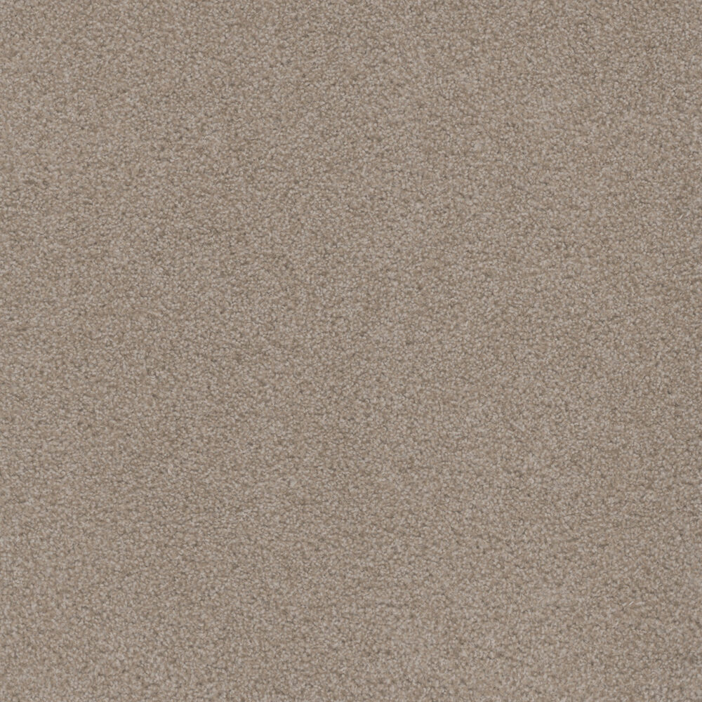 Dreamweaver Carpet Beach Club III Haystack Carpet 1540_4285