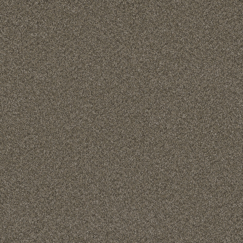 Dreamweaver Carpet Blazer II Fawn Carpet 6360_6005