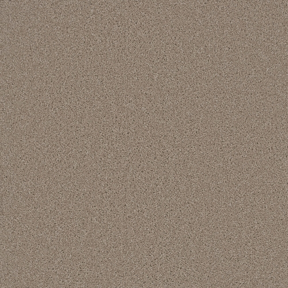 Dreamweaver Carpet Broadcast Flax Beige Carpet 3025_535