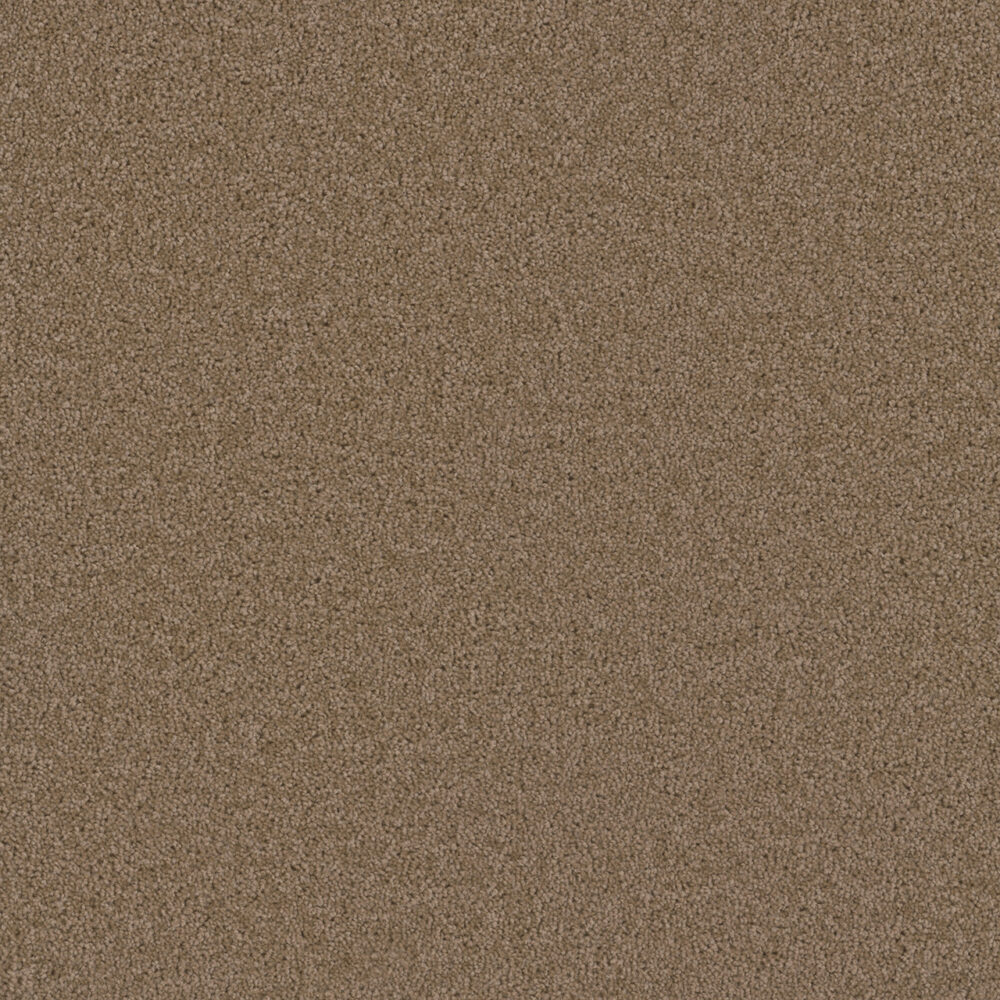 Dreamweaver Carpet Broadcast Plus Sandstone Carpet 3125_715