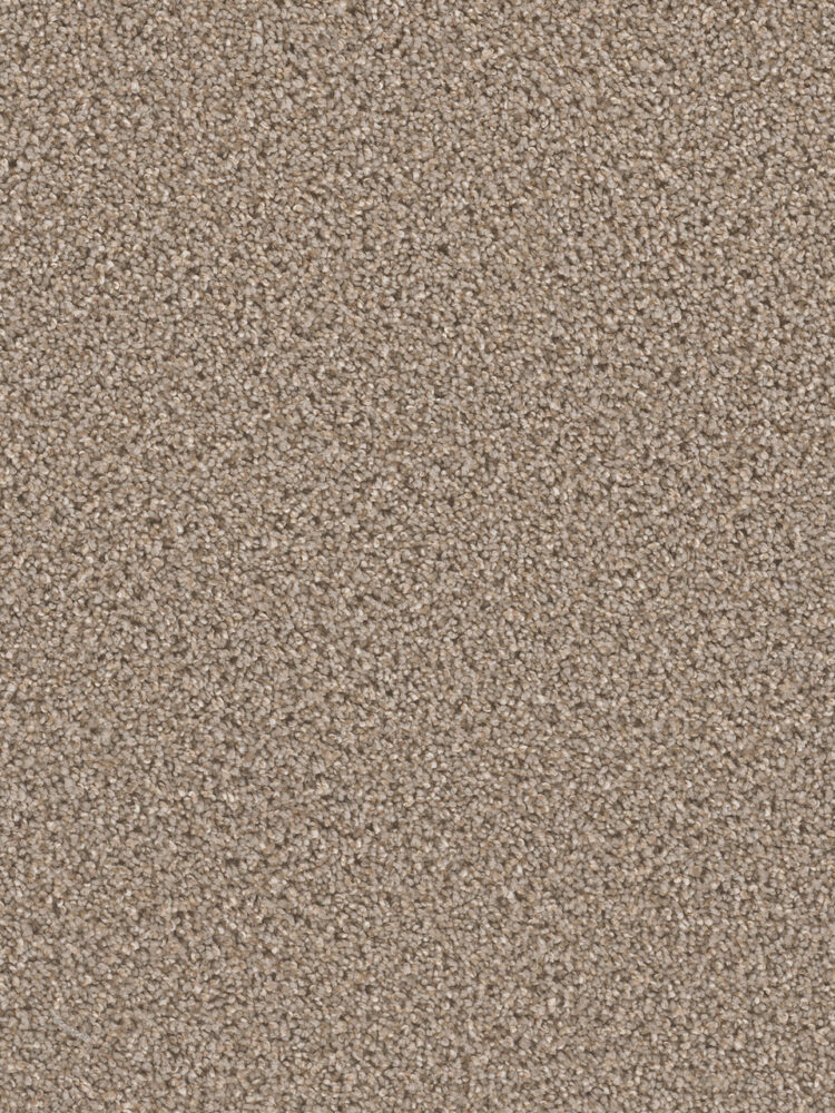 Dreamweaver Carpet Can'T Miss Ash Carpet 4748_945