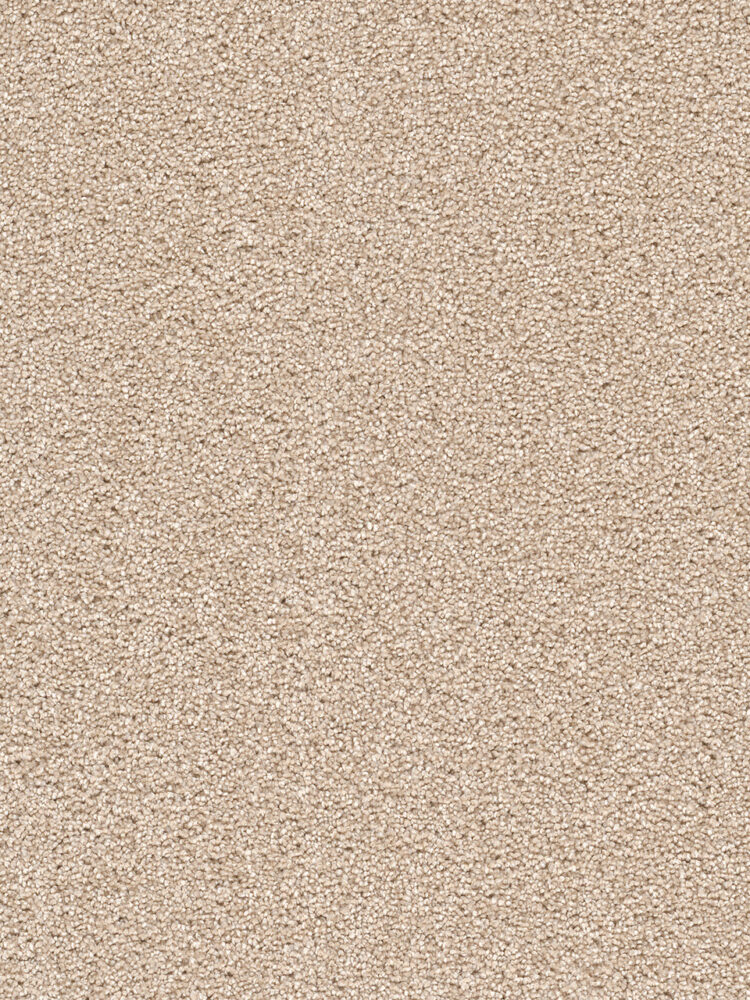 Dreamweaver Carpet Cape Cod Blush Carpet 2540_735