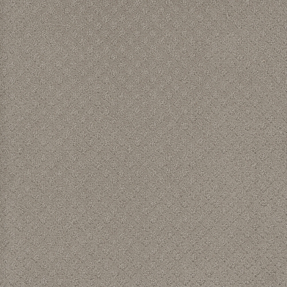 Dreamweaver Carpet Capri Arrowhead Carpet 1428_6827
