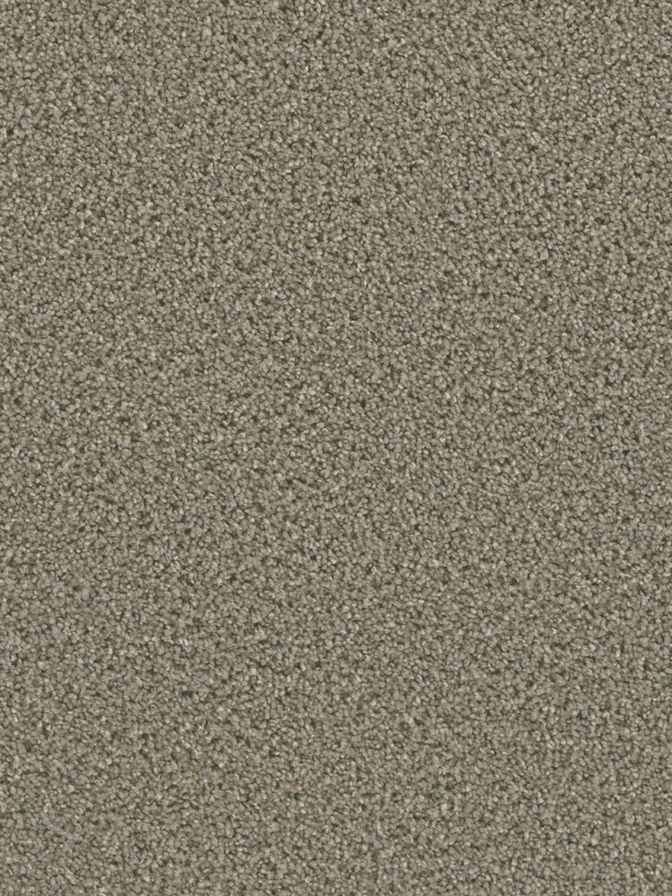Dreamweaver Carpet Dazzling Ash Carpet 4775_945