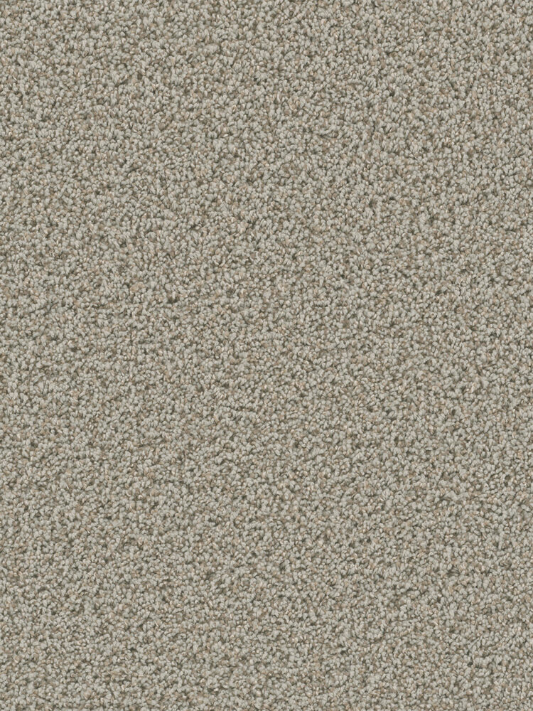 Dreamweaver Carpet Dazzling Stucco Carpet 4775_905