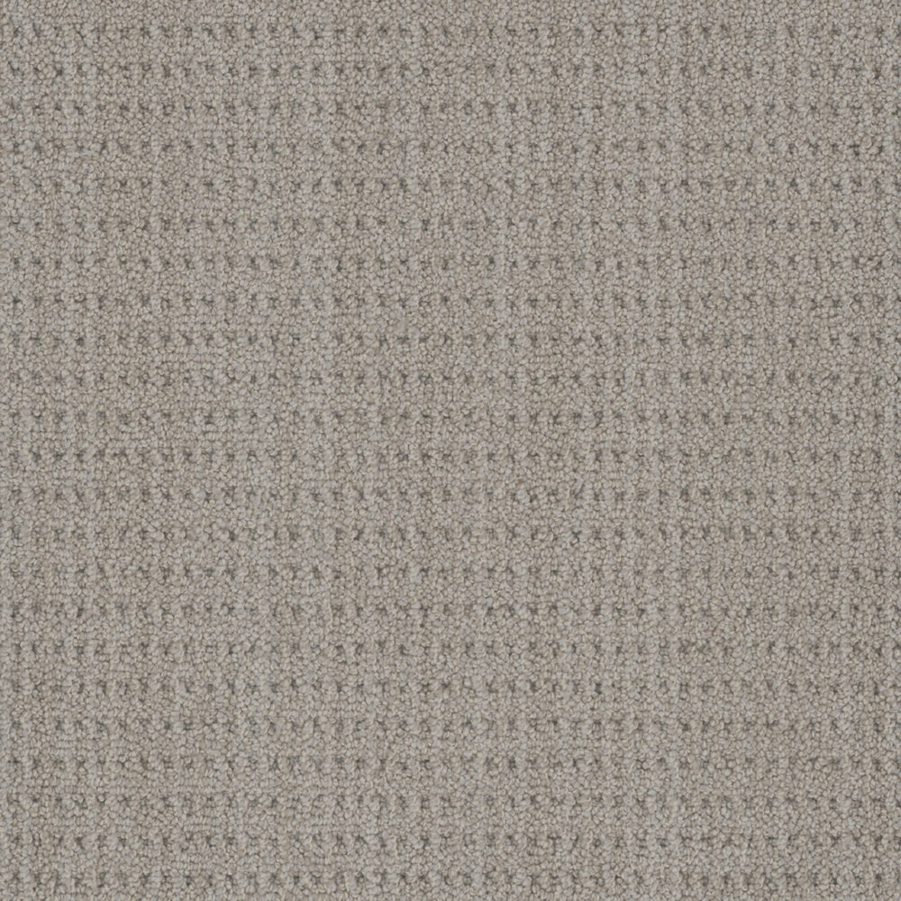 Dreamweaver Carpet DW Select Chelsea Highwinds Carpet 8168_3915