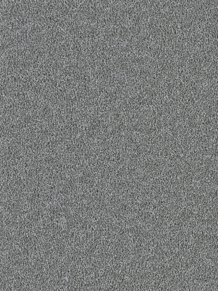 Dreamweaver Carpet East Hampton Armor Carpet 2550_968