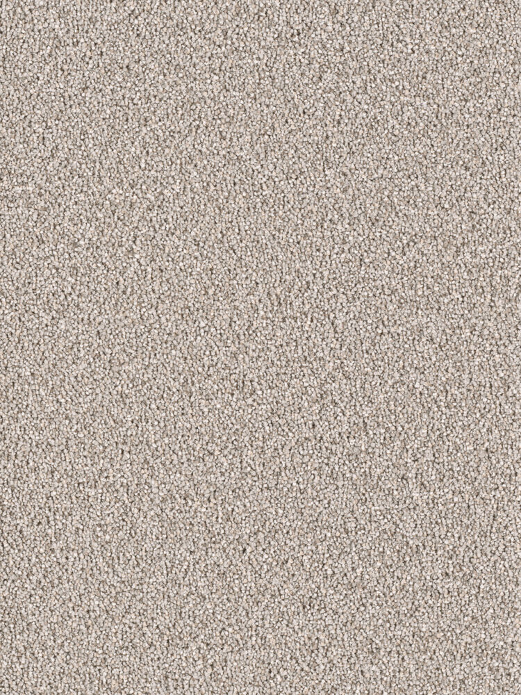 Dreamweaver Carpet East Hampton Ash Carpet 2550_945