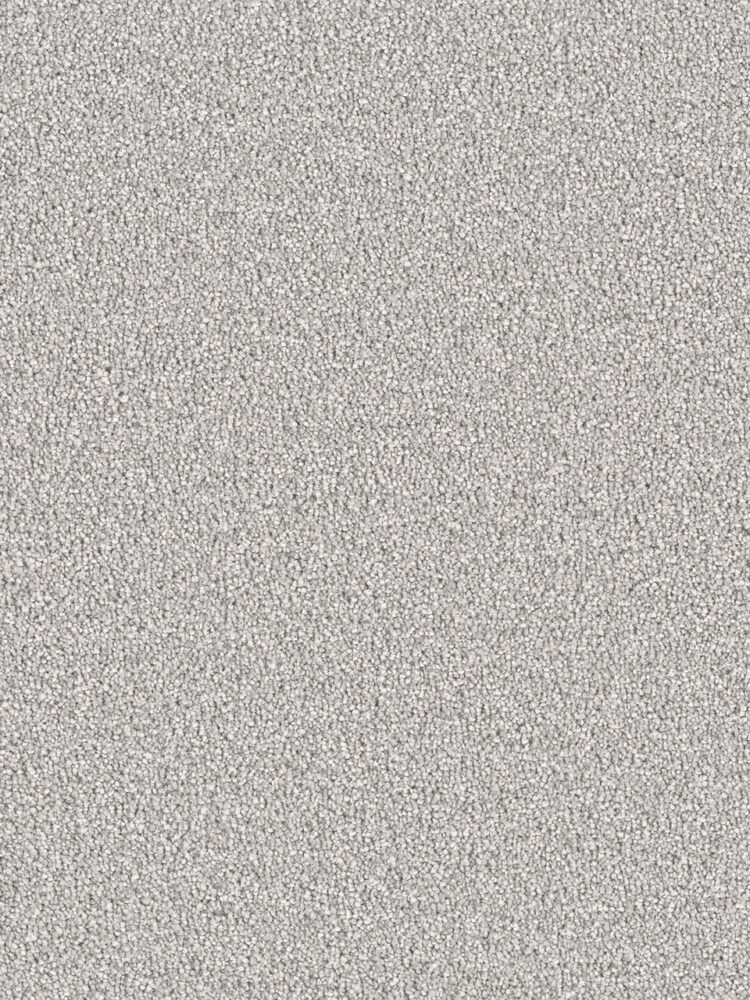 Dreamweaver Carpet East Hampton Dove Carpet 2550_800