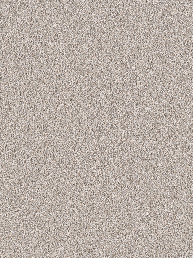 Dreamweaver Carpet East Hampton Iron Frost Carpet 2550_815