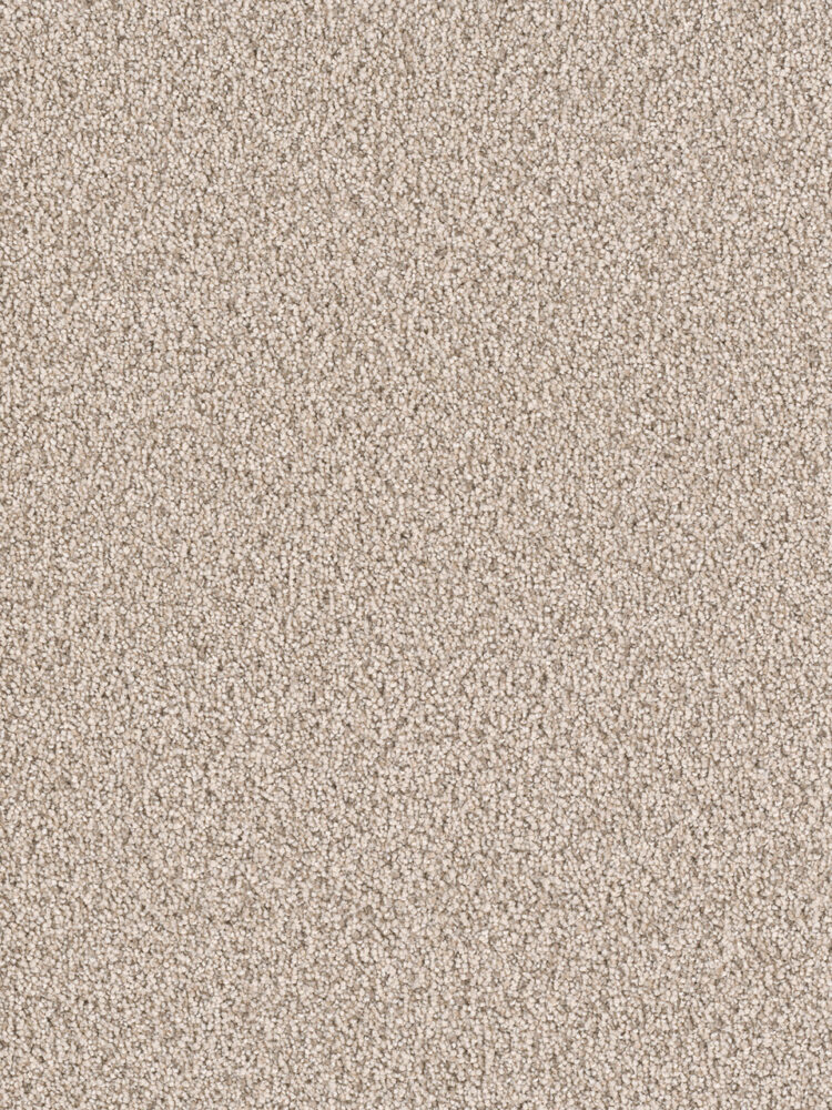 Dreamweaver Carpet East Hampton Linen Carpet 2550_824