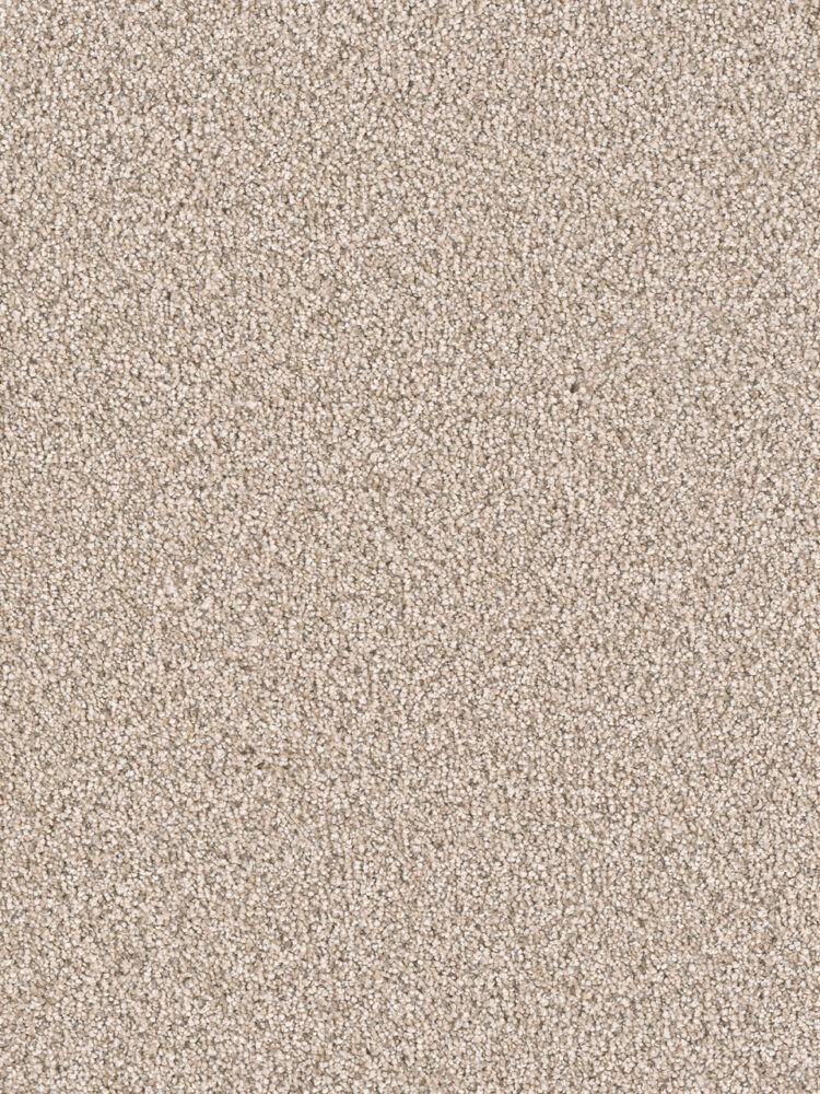 Dreamweaver Carpet East Hampton Oxford Carpet 2550_720