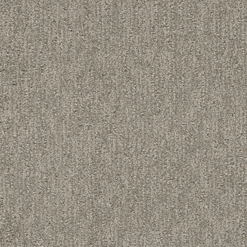 Dreamweaver Carpet Finishing Touch Greige Carpet 2835_2850