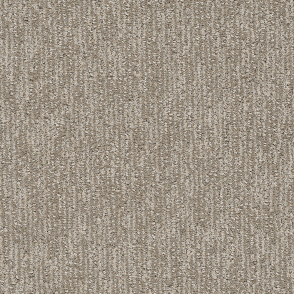 Dreamweaver Carpet Finishing Touch Skipping Carpet 2835_2847