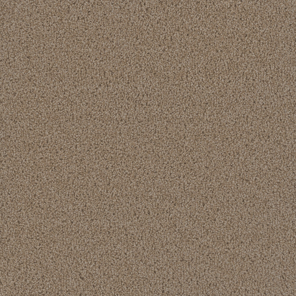 Dreamweaver Carpet First Step Sawgrass Carpet 4160_701
