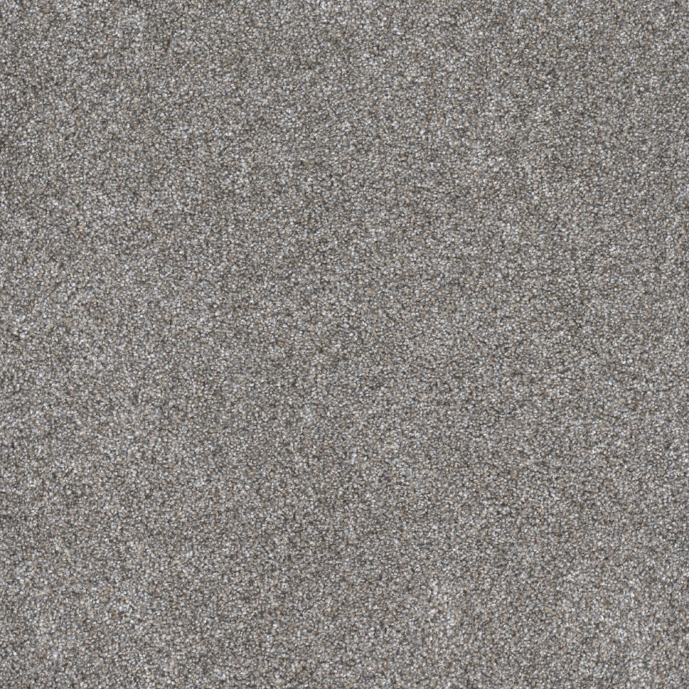 Dreamweaver Carpet Gold Standard III Chrome Carpet 4066_2484