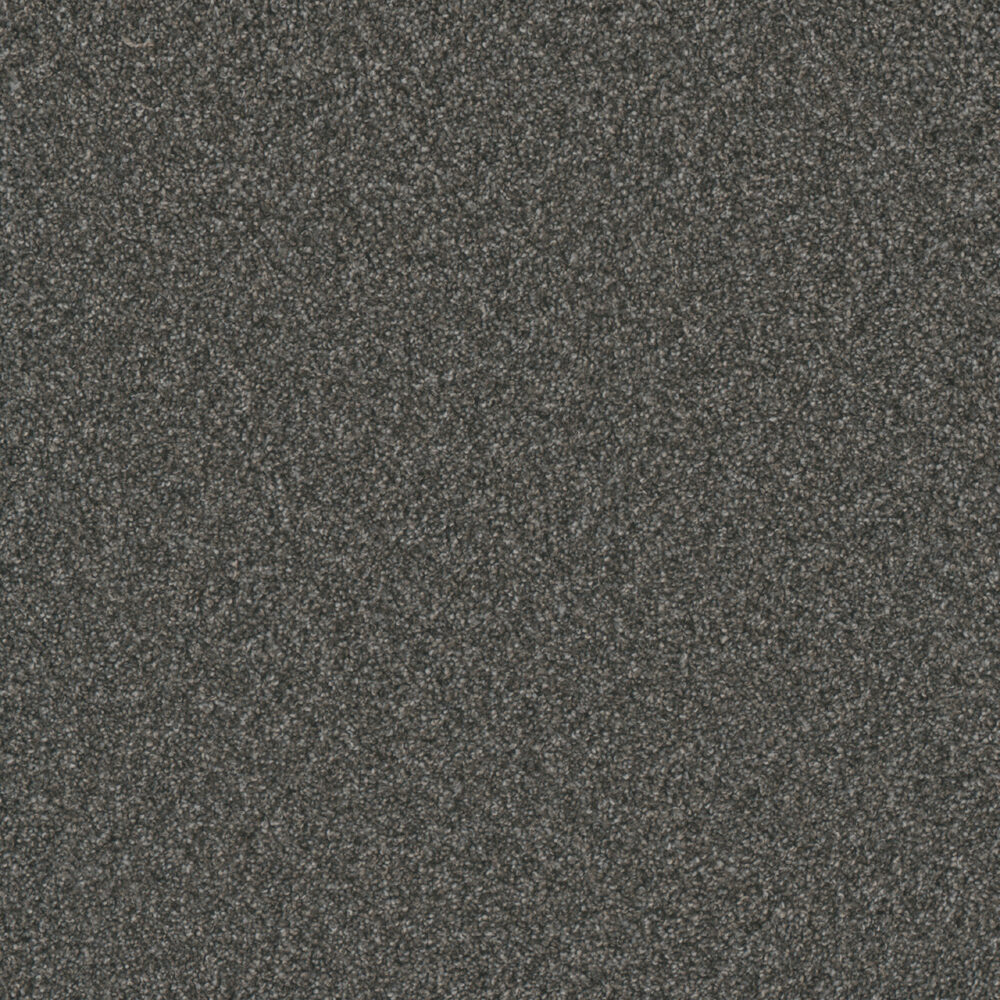 Dreamweaver Carpet Gold Standard III Mica Carpet 4066_2185