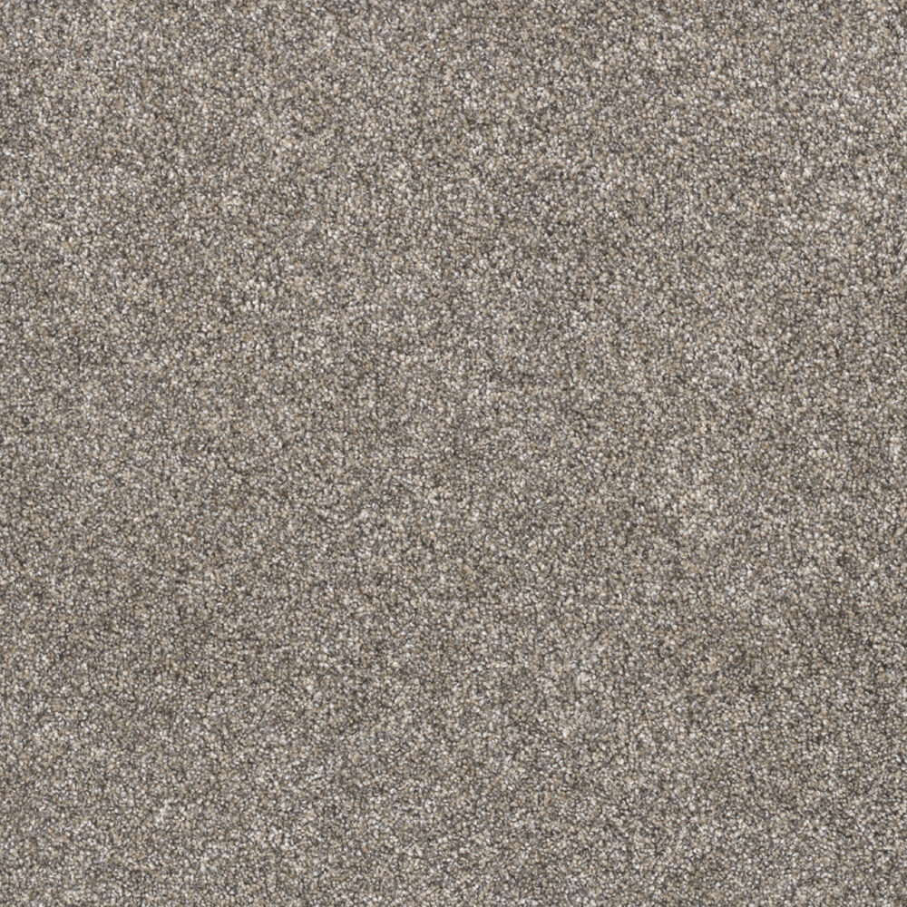 Dreamweaver Carpet Gold Standard III Note Carpet 4066_2057