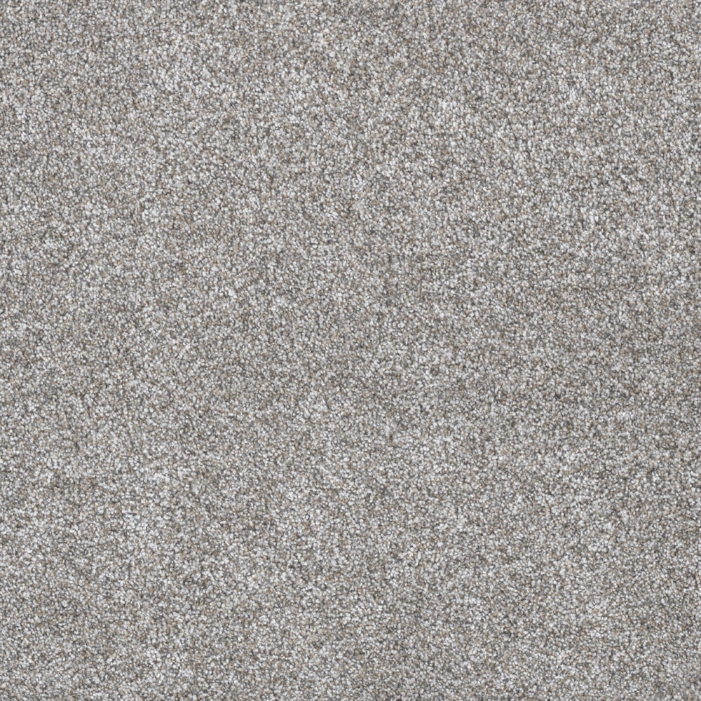 Dreamweaver Carpet Gold Standard III Quartz Carpet 4066_2678