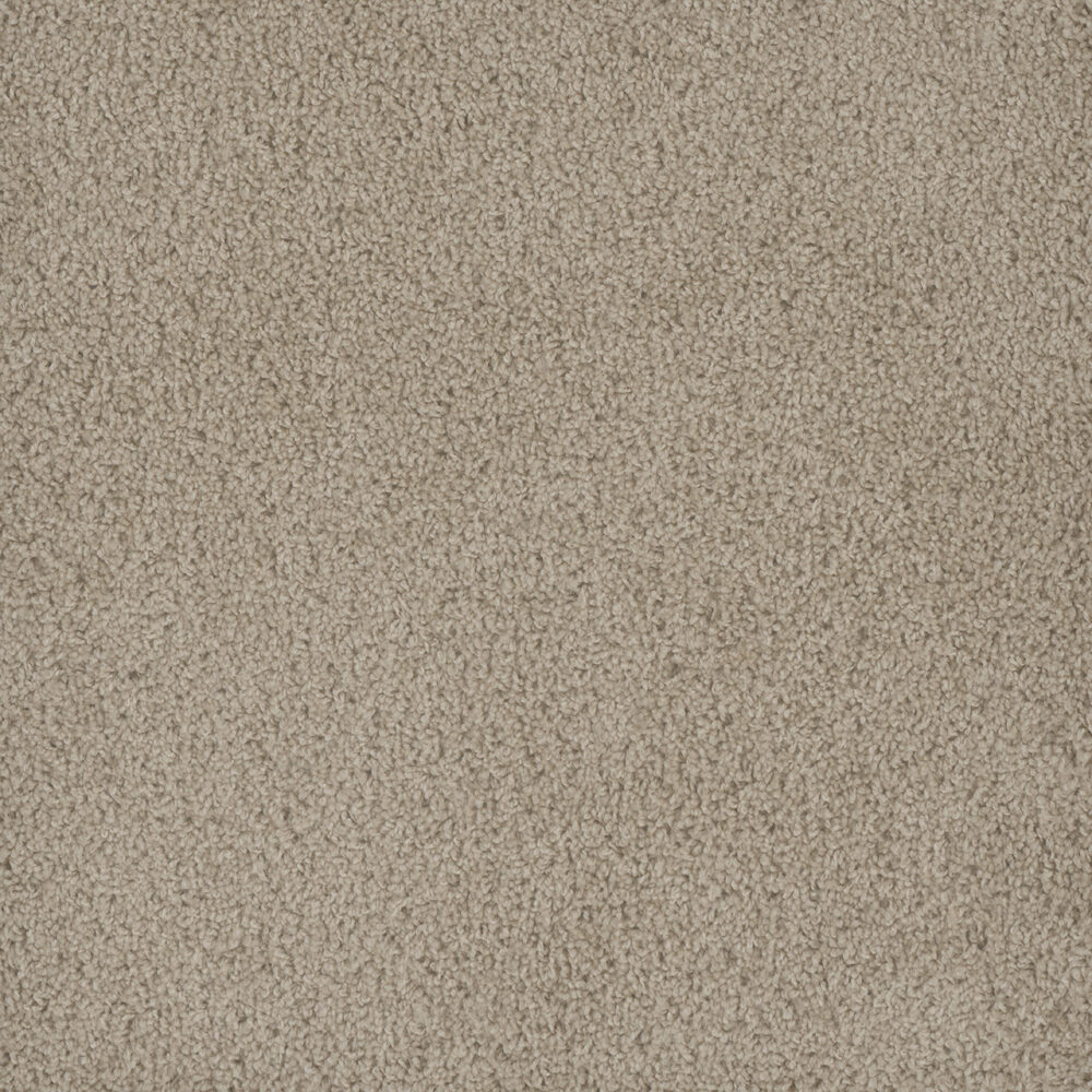 Dreamweaver Carpet Hammond Creek II Oak Bay Carpet 2045_349