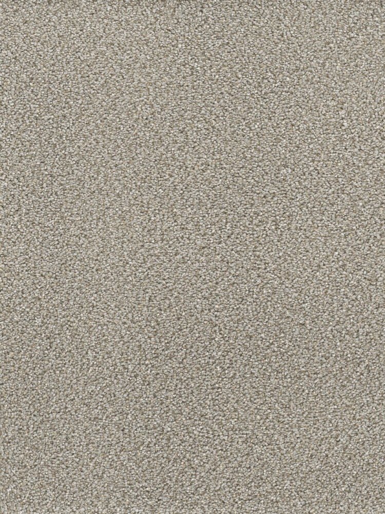 Dreamweaver Carpet Montauk Ash Carpet 2560_945