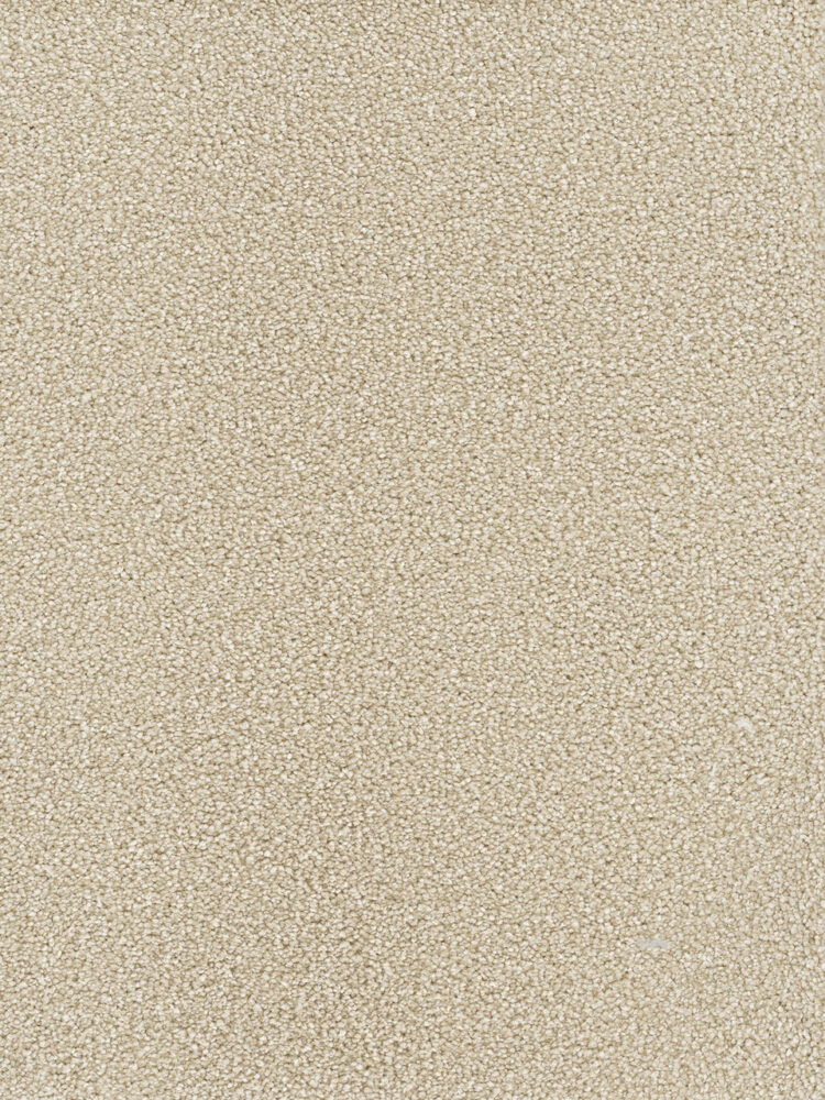 Dreamweaver Carpet Montauk Blush Carpet 2560_735