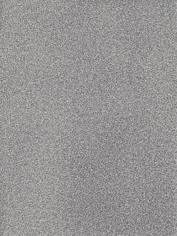Dreamweaver Carpet Montauk Smoke Carpet 2560_420