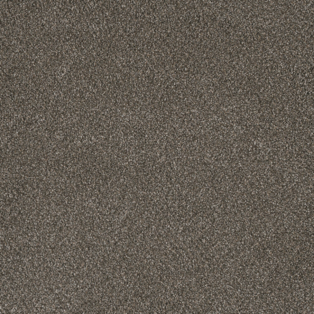 Dreamweaver Carpet Monte Carlo I Rugby Carpet 6200_6112