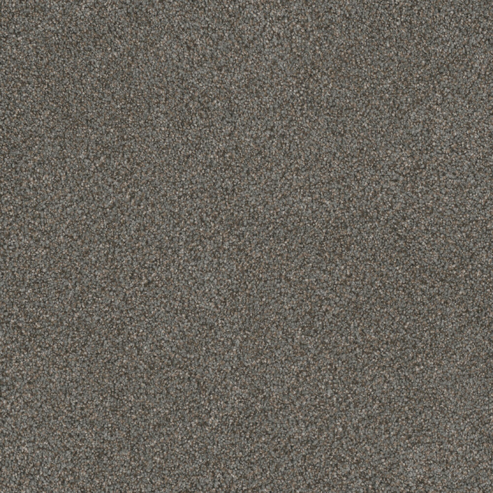 Dreamweaver Carpet Monte Carlo II Meadow Dance Carpet 7200_6049