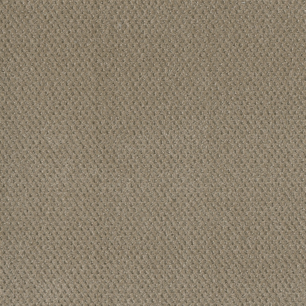 Dreamweaver Carpet Moon Bay Warm Sand Carpet 1228_6339