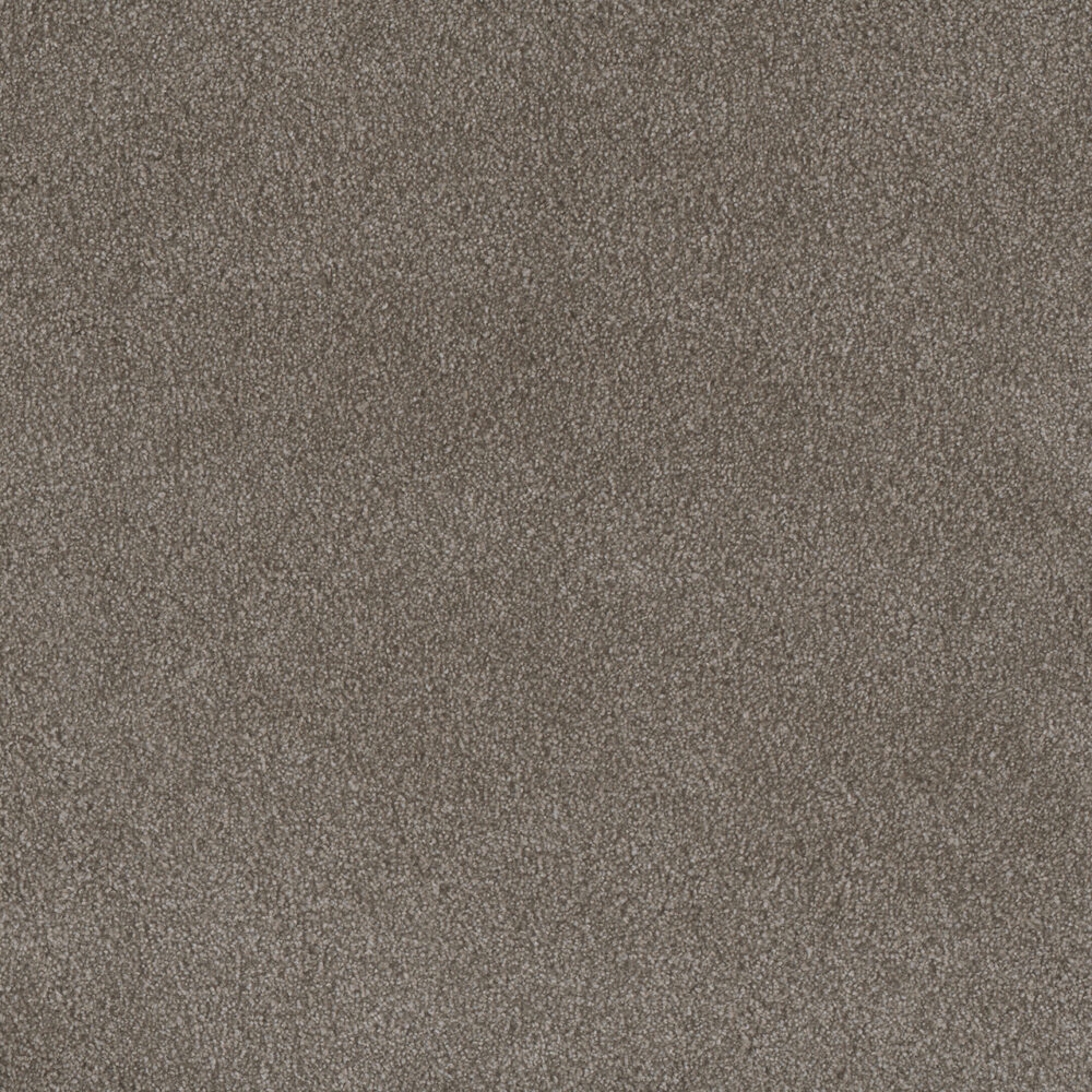 Dreamweaver Carpet Palmetto I Vienna Carpet 2732_2303