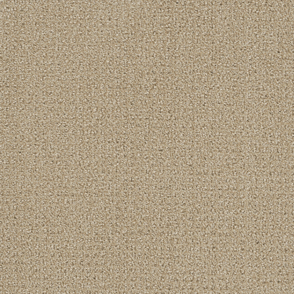 Dreamweaver Carpet Pinpoint Soft Pine Carpet 2870_6317