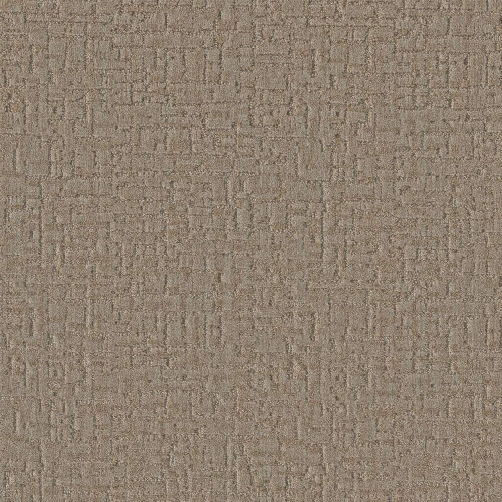 Dreamweaver Carpet River Street Franklin Carpet 8900_8106