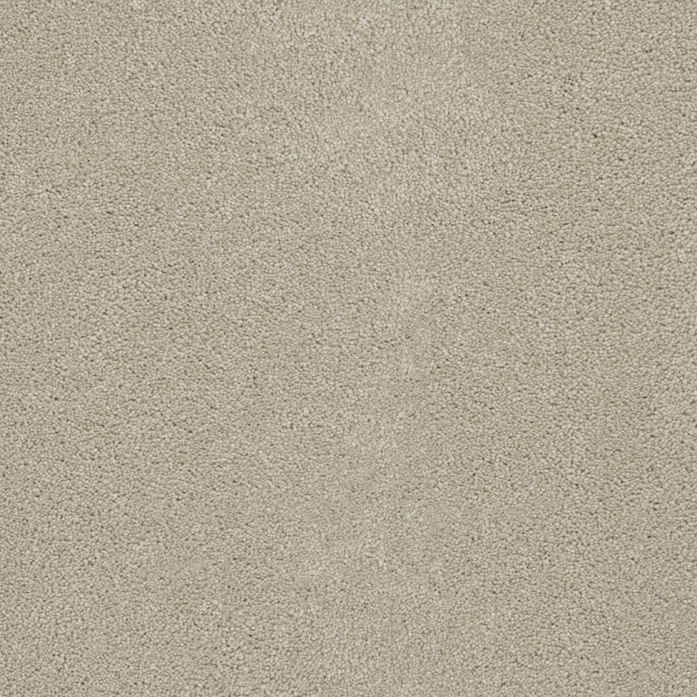 Dreamweaver Carpet Rock Solid II Ivory Carpet 4355_730
