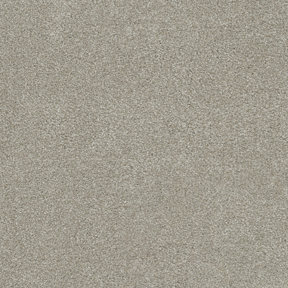 Dreamweaver Carpet Rock Solid II Parchment Carpet 4355_744