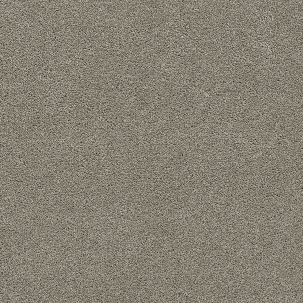 Dreamweaver Carpet Rock Solid II Soft Leather Carpet 4355_861