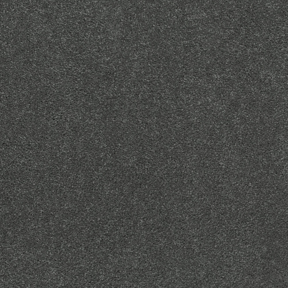 Dreamweaver Carpet Rock Solid III Mysterious Carpet 4365_960