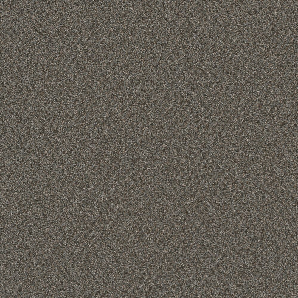 Dreamweaver Carpet Royale II Meadow Dance Carpet 5146_6049