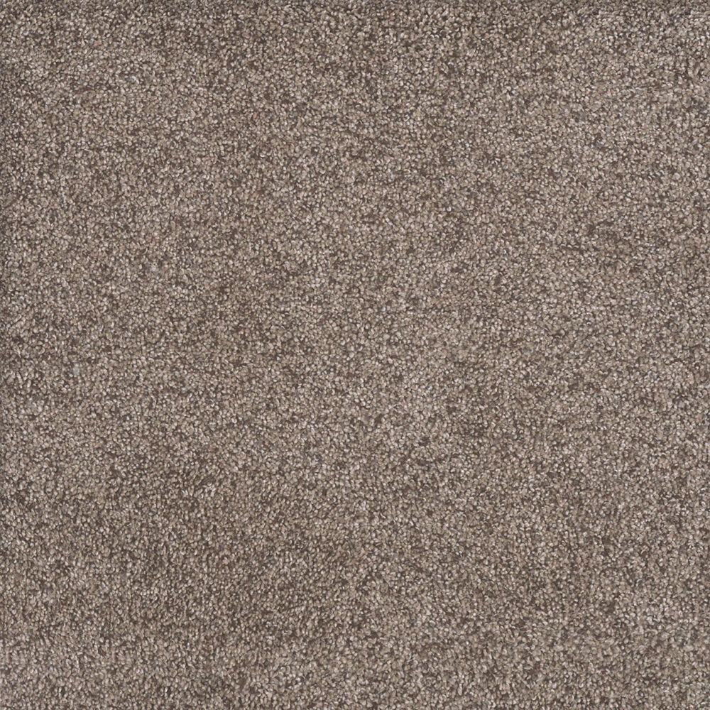 Dreamweaver Carpet Rustic Retreat II Clay Pot Carpet 4455_5032