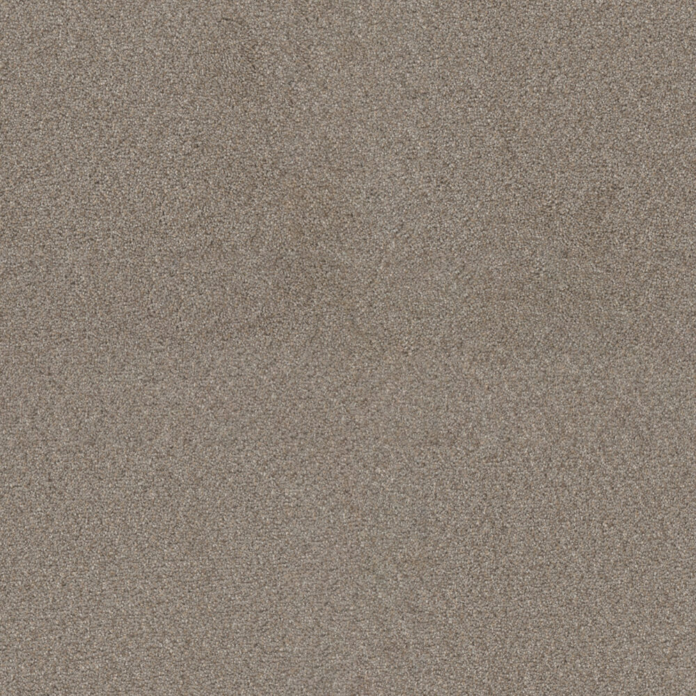 Dreamweaver Carpet Star Struck Ash Carpet 4032_945