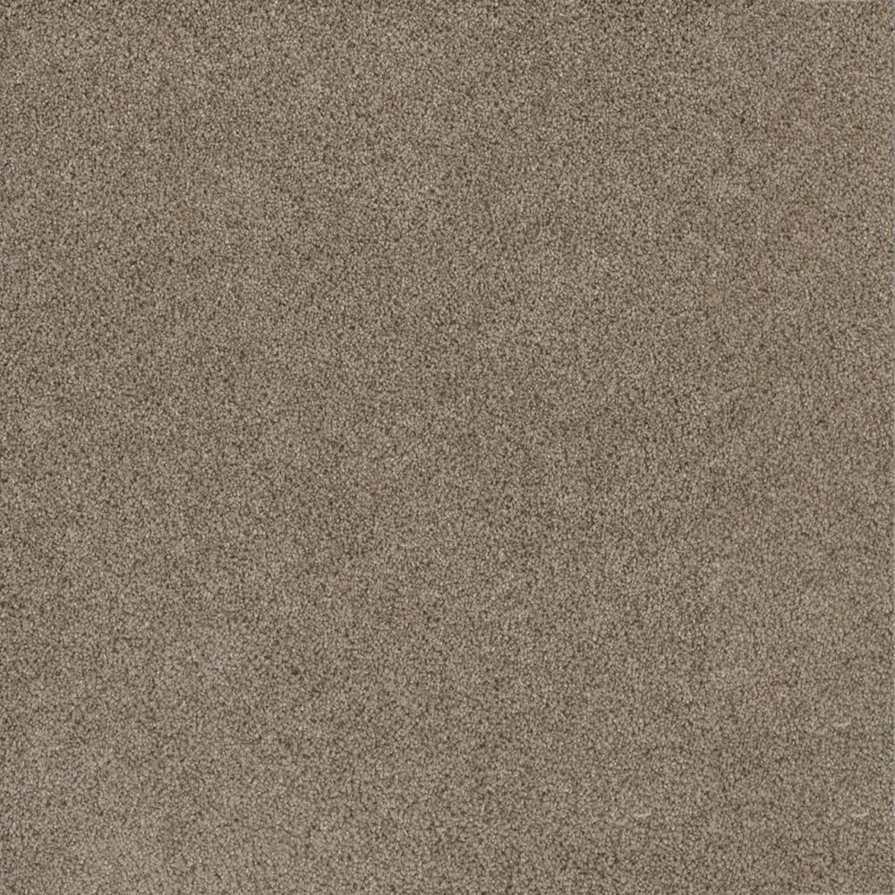 Dreamweaver Carpet Stunning Mocha Carpet 4765_775