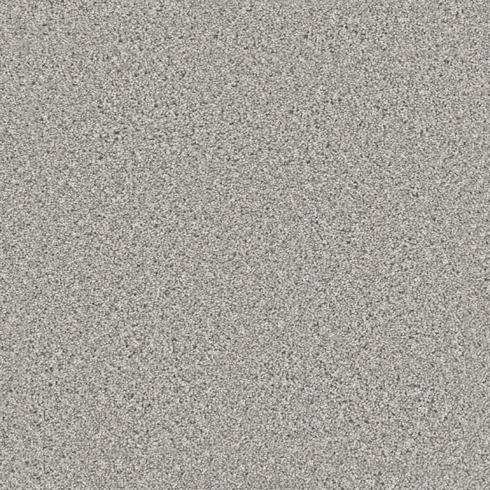 Dreamweaver Carpet Windy City I Moon Rise Carpet 4929_4145
