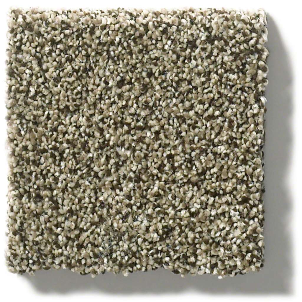 Shaw - Points of Color II - Leather