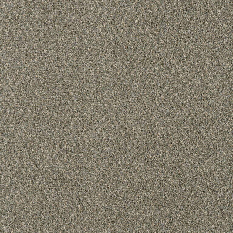 Dreamweaver Carpet Acclaim Smooth Sailing Carpet 1324_641