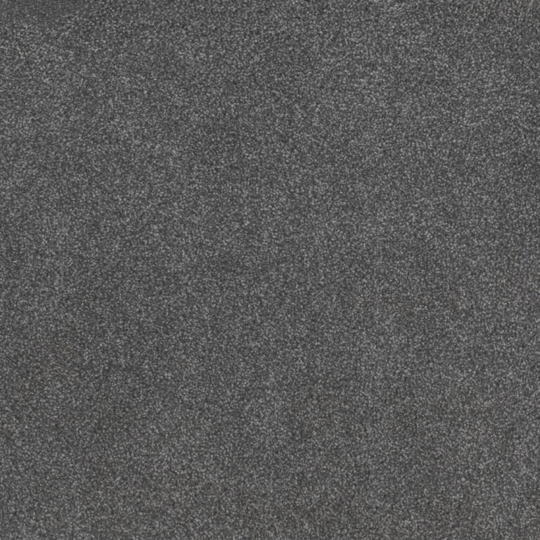 Dreamweaver Carpet Beach Club I Admiral Carpet 1325_4109