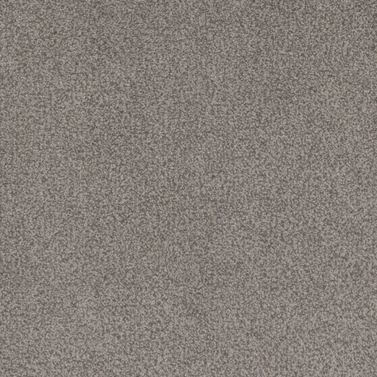 Dreamweaver Carpet Beach Club II Pique Carpet 1430_4189