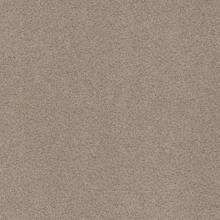 Dreamweaver Carpet Beach Club III Haystack Carpet 1540_4285
